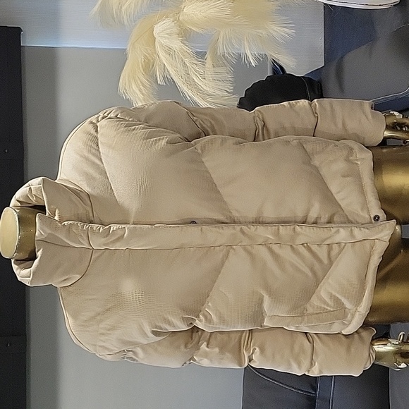 BB Dakota | Jackets & Coats | Bb Dakota Answer My Layer Bone Puffer ...